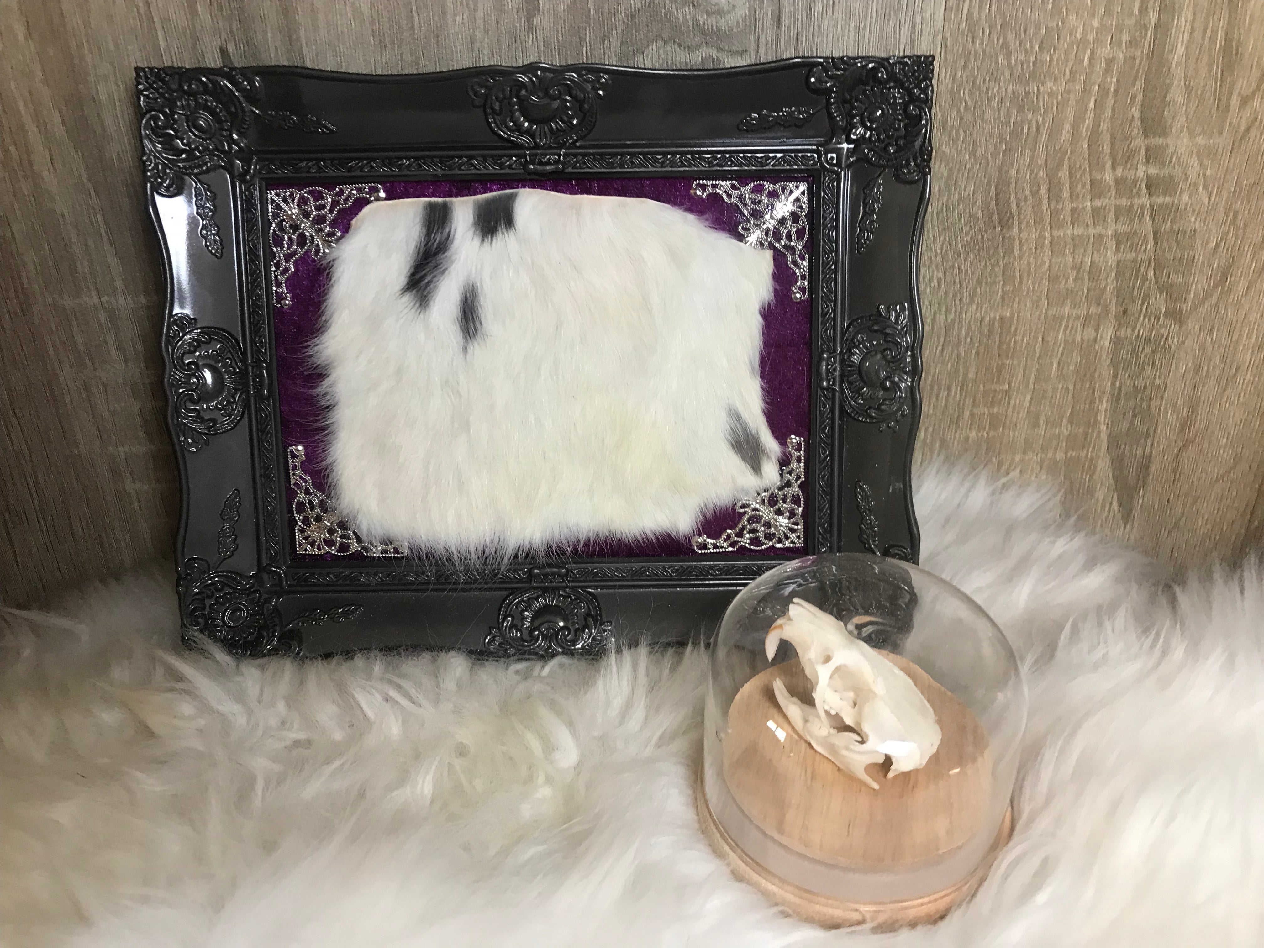 Pet memorial rat fur frame – Yours Oddly